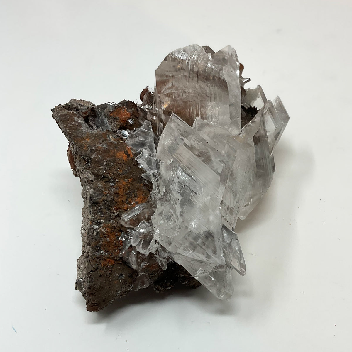 Selenite Specimen from Naica, Mexico – Cornerstone Minerals